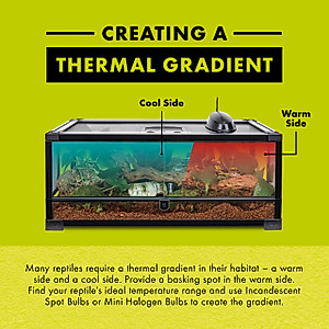 Zilla Incandescent Spot Bulb, for Nocturnal Reptile Species, Night Black