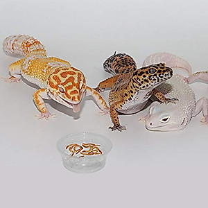 SLSON Small Gecko Food and Water Cups 100 ct Plastic Feeder Cups for Reptile Feeding Bowls for Crested Gecko Lizard and Other Small Pet, 0.5 oz