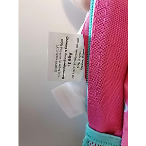 Paw Patrol Kids Skye Chase Everest Backpack