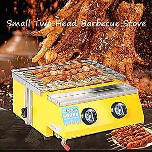 Stainless Steel Burner Gas BBQ for Outside Garden Grill BBQ with Fat Catcher, Tabletop Gas Grill Stainless Steel Two-Burner BBQ with Updated Knobs, Perfect for Camping, Picnics or Any Outdoor,Silver