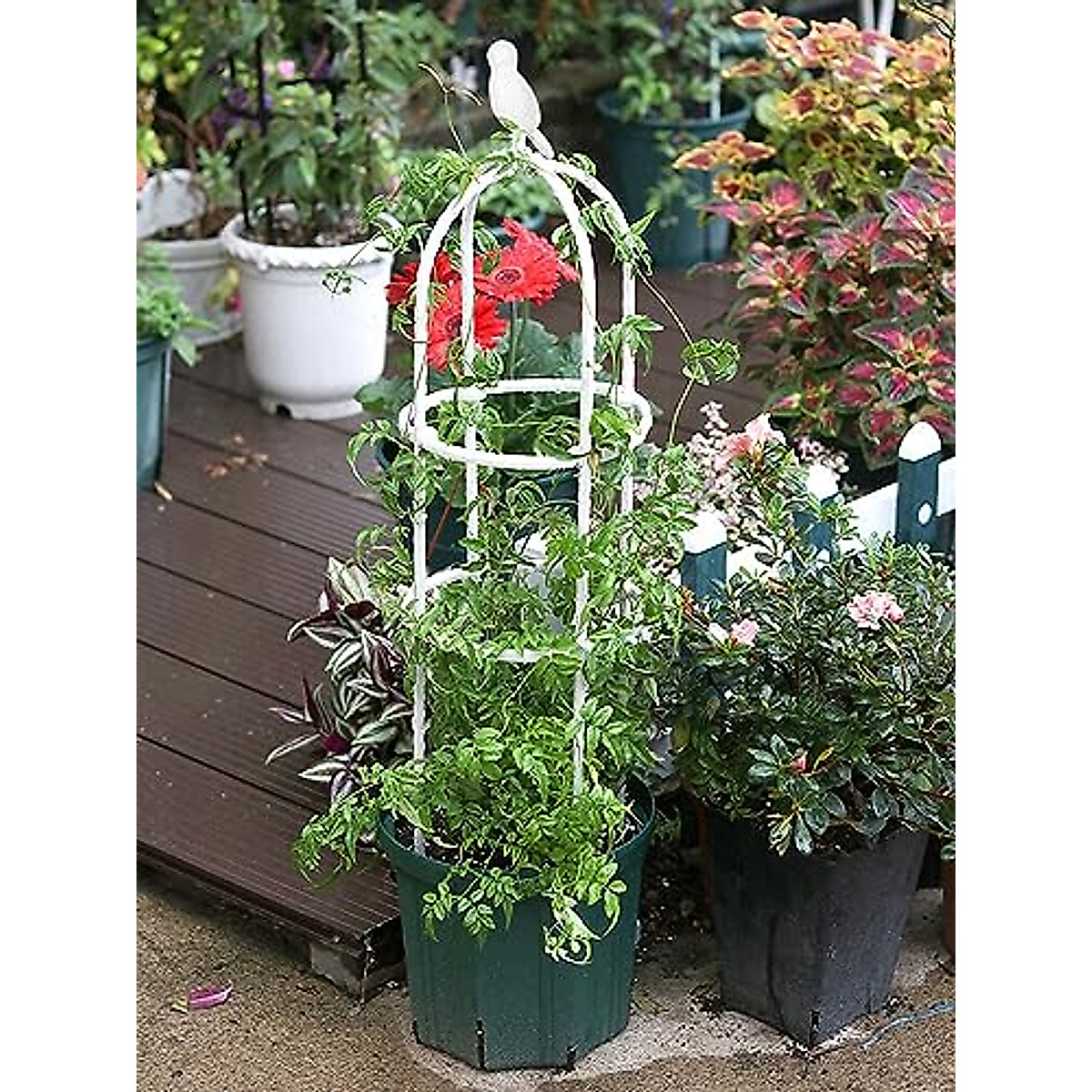 Climbing Vine Rack Rose Trellis Outdoor 120cm Home for Garden Balcony Durable Clematis Plants Plant Support Frame