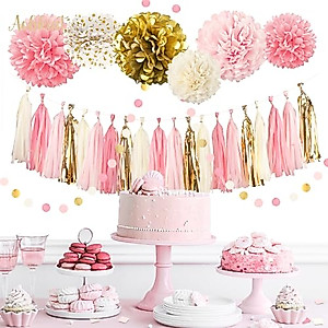AOBKIAT Baby Shower Birthday Party Decorations for Girl,28 PCS Pink Gold Tissue Paper Pom Poms,Dots Paper Garland,Tassel Galand,Hanging Backdrop for Bridal Showers,Wedding Party Supplies