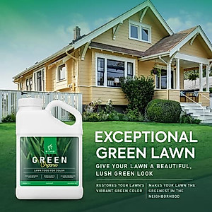 Green Organic Lawn Fertilizer - Grass Fertilizer for Lawn Color & Sustained Growth, Lawn Fertilizer That Conditions & Nourishes Soil, No Harsh Chemicals Lawn Care, 1 Gal. Lawn Food for 20,000 sq. ft.
