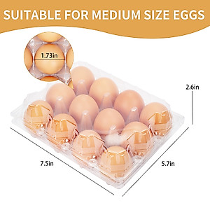 GRRONZEE 120Pack Egg Cartons Cheap Bulk One Dozen Clear Empty Egg Cartons for Chicken Eggs, Reusable Egg Carton for Home Ranch Chicken Farm, Commercial Business Market Display, 3x4 Grids