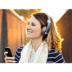 Polk Audio AM4220-A Hinge Wireless (Blue)