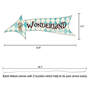 Alice in Wonderland Party Decorations, Mad Hatter Tea Party Supplies, Arrow Hanging Signs Pack of 10(Double-Sided Design)