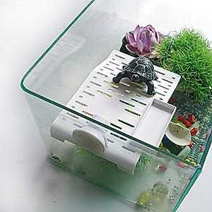 Pet Supplies Amphibian Reptile Turtle Floating Platform,Tortoise Basking Platform with Feeding Trough Food Bowl Double Suction Cup Aquarium Accessories,6.7" x 5.1" x 1.9" (Medium)