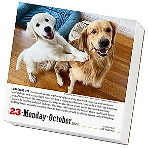 365 Dogs Page-A-Day Calendar 2023: The World's Favorite Dog Calendar