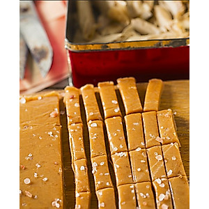 BEYOND HIMALAYAN Pink Himalayan Sea Salt Substitute - 10.5 oz. - Tasty Low Sodium Salt & Potassium Salt Substitute for High Blood Pressure - Himalayan Pink Salt Substitute With Real Salt-Taste