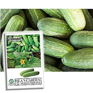 Carolina Cucumber Seeds for Planting, 100+ Heirloom Seeds Per Packet, (Isla's Garden Seeds), Non GMO Seeds, Botanical Name: Cucumis sativus, Great Home Garden Gift