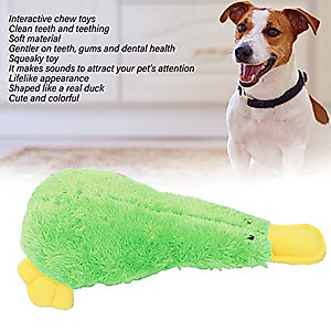 GLOGLOW Plush Dog Chew Toys, Cute Bird Easy Clean Squeaky Plush Dog Toys Teeth Grinding Interactive Boredom Relief Soft Bite Resistance Indoor (Green)