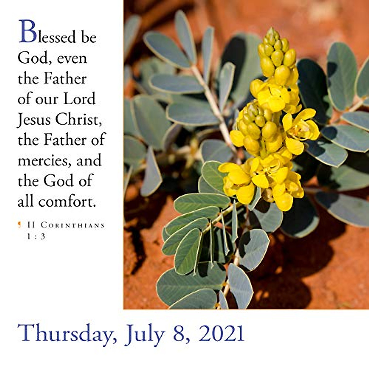 365 Bible Verses-A-Year Page-A-Day Calendar 2021