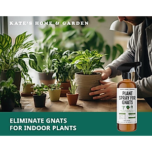 Kate's Home & Garden Plant Spray for Insects & Getting Rid of Gnats with 12 Gnat Sticky Traps. Fungus Gnat Killer & Gnat Control for Indoor Plants (16oz, Pet Safe, Non Toxic)