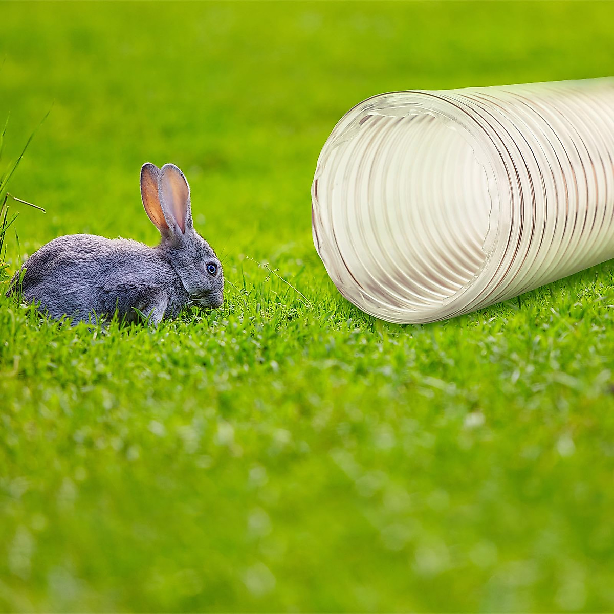 Sasylvia Ferret Thru Way Bunny Tunnel Two Way Rabbit Hideout Long Ferret Tunnel Tube Collapsible Ferret Toys Small Pet Fun Tunnel for Small Animals Guinea Pig Rat Chinchilla