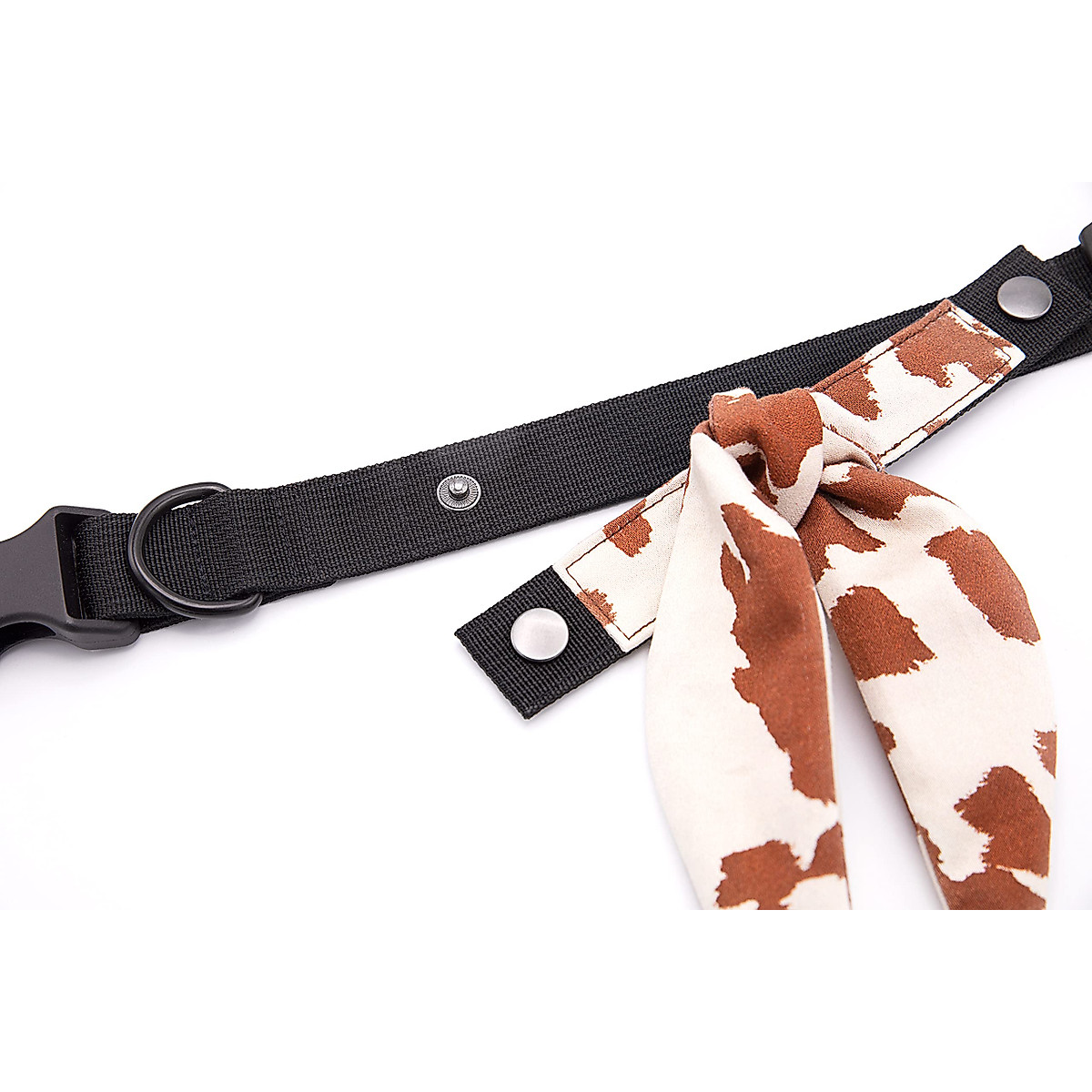 BOW Teddy Long - Modular Dog Collar