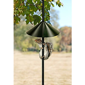 Woodlink Kay Home ProductS 14-Inch Wrap Around Squirrel Baffle Bird Seed
