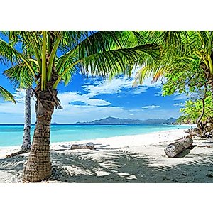 LTLYH 7x5ft Tropical Summer Beach Photography Backdrops Hawaiian Luau Party Blue Sky Sea Background for Outdoor Photo Props A-06