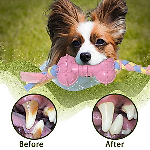 Kattypet Dog Toy Pack, Chew Toys for Dogs and Puppies, Safe & Non-Toxic, Small to Medium Breeds, Soothe Teething Pain, Durable, Funny Cute Duck Keep Your Puppies Busy，5 in a Yellow