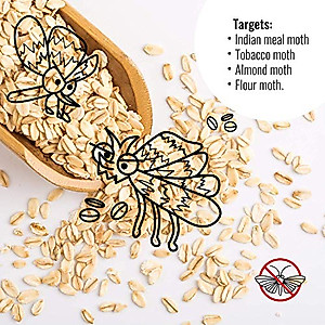 Premium Pantry Moth Traps, Insecticide-Free Moth Pheromone Traps, Glue Trap for Flour, Meal, and Seed Moths, Cupboard Moth Traps, Effective Pest and Moth Lure and Traps (20-Pack) (Dark, 20-Pack)