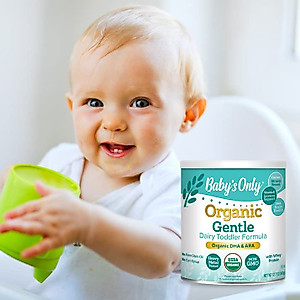 Baby's Only Organic Whey & Dairy Protein with DHA & ARA Gentle Toddler Formula, 12.7 Oz (Pack of 1) | Non-GMO | USDA Organic | Clean Label Project Verified | Tummy Gentle