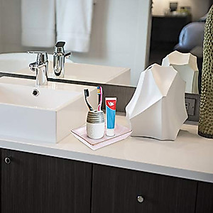 Cabilock 2PCS Bathroom Vanity Tray Marble Pattern Ceramic Toothbrush Holder Countertop Storage Organizer Decorative Jewelry Display Tray (Pink)