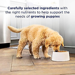 Natural Balance Limited Ingredient Diet Duck & Potato | Puppy Formula Grain-Free Dry Dog Food | 24-lb. Bag