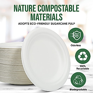 TaidMiao Dessert Plates, 100 Pack Small Paper Plates, Paper Plates 6 Inch – 100% Compostable Plates, Water & Oil Proof Disposable Plates, Microwavable Perfect Paper Plate For Party - White