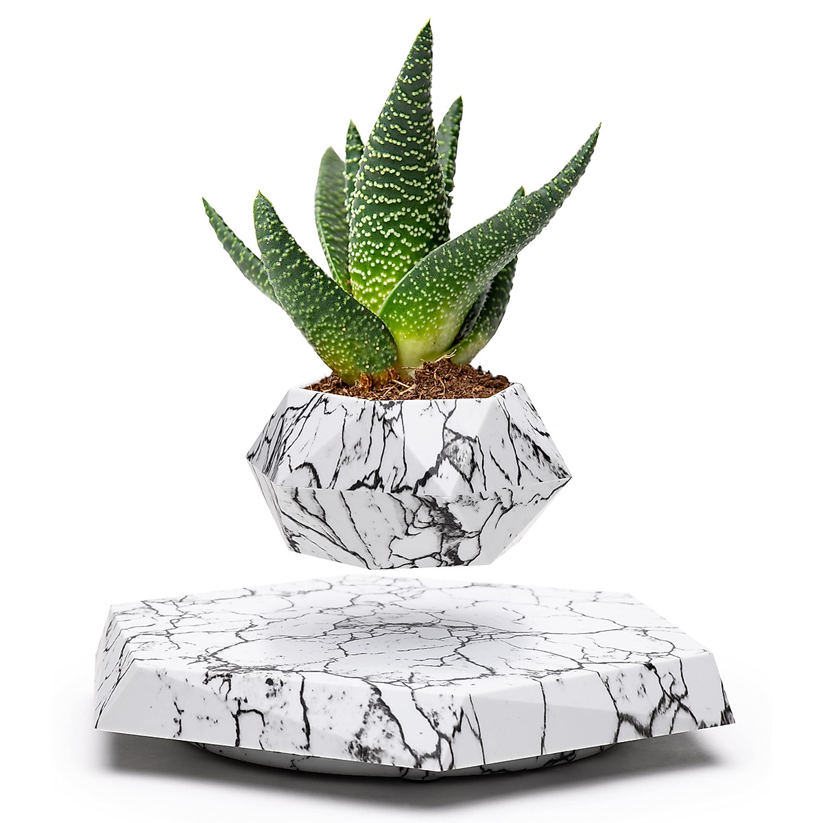 BandD Plant Pot for Succulents, air Bonsai & air Plants. Planter for Home, Office & Desk Decor. Magnetic Floating Levitating Display. (Marble)