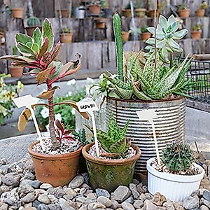 KINGLAKE GARDEN Outdoor Plastic Plant Labels,11.8 inch 30 Pack Outdoor Waterproof Durable Nursery Garden Markers,Plant Markers for Herbs,Flowers,Vegetable,Outdoor Indoor Plant