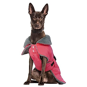 IECOii Dog Winter Clothes, Warm Dog Winter Sweater, Dog Fleece Jacket with Turtle Neck, Dog Waistcoat for Large Dogs Winter Fits for Pitbull, Border Collie, Samoyed, English Bulldogs, XL