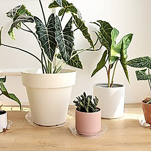 TRUEDAYS 20 Pack Plant Saucers (6 inch / 8inch / 10inch / 12inch) Clear Plant Saucers Flower Pot Tray Excellent for Indoor & Outdoor Plants