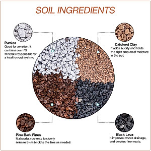 Bonsai Soil All Purpose Mix | Fast Draining Pre Blend Plant | Pumice, Lava, Calcined Clay and Pine Bark ● Potting Pre Mixed Bonsai Plant Soil Mixture by The Bonsai Supply (2 Quart Bag)