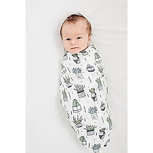 Large Premium Knit Baby Swaddle Receiving Blanket "Shiloh" by Copper Pearl