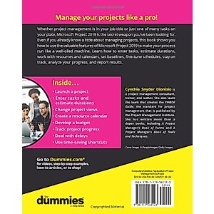 Microsoft Project 2019 For Dummies (Project for Dummies)