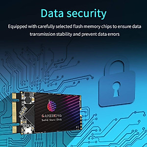 Gamerking SSD M.2 2242 64GB High Performance Internal Solid State Drive for Desktop Laptop 5 Unit Package Pack [64GB(5 Packs),M.2 2242]