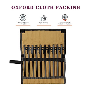 Thousfan 10 inch Tent Stakes,Metal Heavy Duty Camping Stakes for Outdoor Canopy and tarp ,10 Pack with Portable Bag