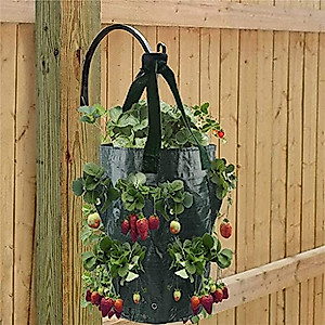 EBOCACB 3 pcs Hanging Planter Bag with Handles, Plastic Hanging Strawberry Planting Containers Strawberry Grow Bags Foldable Durable Growing Bags Grow Planter for Growing Vegetables Flowers Herb Plant