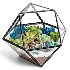 7” DIY Succulent Terrarium Kit with Live Plants, Decorative Rocks, Moss, Healing Crystals, Figurine, Tools & Geometric Glass Terrarium Décor