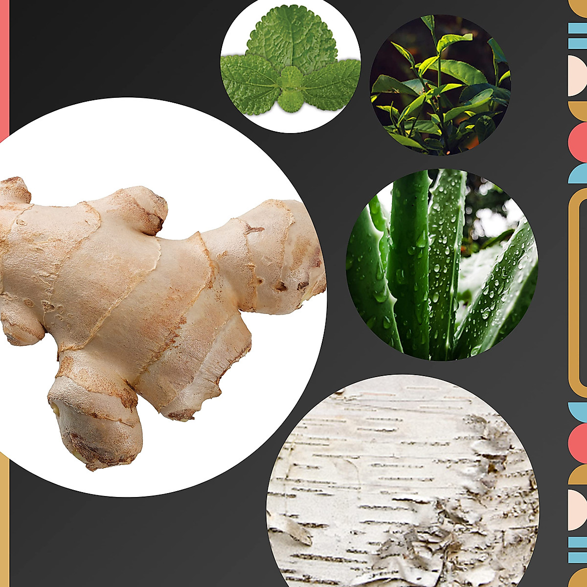 My Black is Beautiful Calming Scalp & Hair Lotion Treatment for Dry Scalp and Damaged Hair, Blue Ginger and Mint, 7.6 fl oz