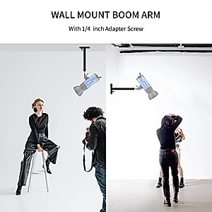 Selens 2 Pack Camera Ceiling Mount, 11" Wall Mount Bracket with 1/4" Universal Adapter for Video Light, Ring Light, Softbox, Reflector, Led Light