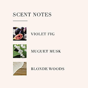 No. 114 Chai Épicé Hair and Body Mist - Sea Salt, Ginger Flower, Almond Crème - Gourmand by Tru Fragrance and Beauty