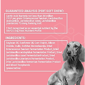 Pet Health Pros Probiotic Oral Paste for Dogs & Cats - Support Healthy Digestion Probiotic Gel - Anti Diarrhea for Dogs and Cat Probiotics for Diarrhea - for Traveling, Kenneling and Training - 30 cc