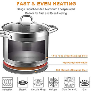 Duxtop Professional Portable Induction Cooktop, Commercial Range Countertop Burner & Professional Stainless Steel Pasta Pot with Strainer Insert, 4PC Multipots Includes Pasta Pot & Steamer Pot, 8.6Qt