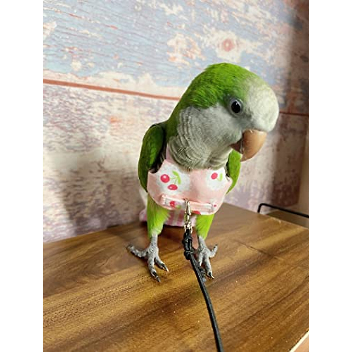 Bird Flight Harness Vest, Parrot Flight Suit for Cockatiels Conures Budgies, Bird Flying Clothes for Outdoor Activities Training
