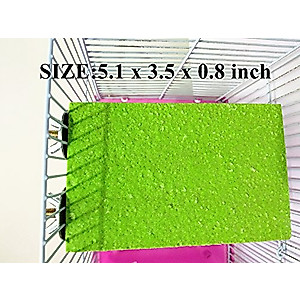 Hypeety Colorful Bird Perch Stand Platform for Parrot Macaw African Greys Budgies Parakeet Cockatiels Natural Wood Paw Grinding Clean Cage Toy (Random Color)(B)