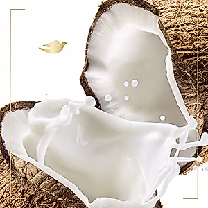 Dove Purely Pampering Body Wash for Dry Skin Coconut Butter and Cocoa Butter Effectively Washes Away Bacteria While Nourishing Your Skin 22 oz 4 count