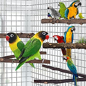 PINVNBY Natural Bird Wood Perch Parakeet Standing Toy Sticks Parrot Paw Grinding Branches Cockatiels Cage Chewable Accessories for Conures Macaws Finches 6 Pack