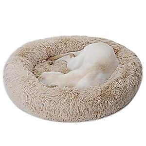 ZENY Pet Bed for Dogs & Cats, Anti-Slip, Machine Washable, Ultra Soft Washable Dog and Cat Cushion Bed