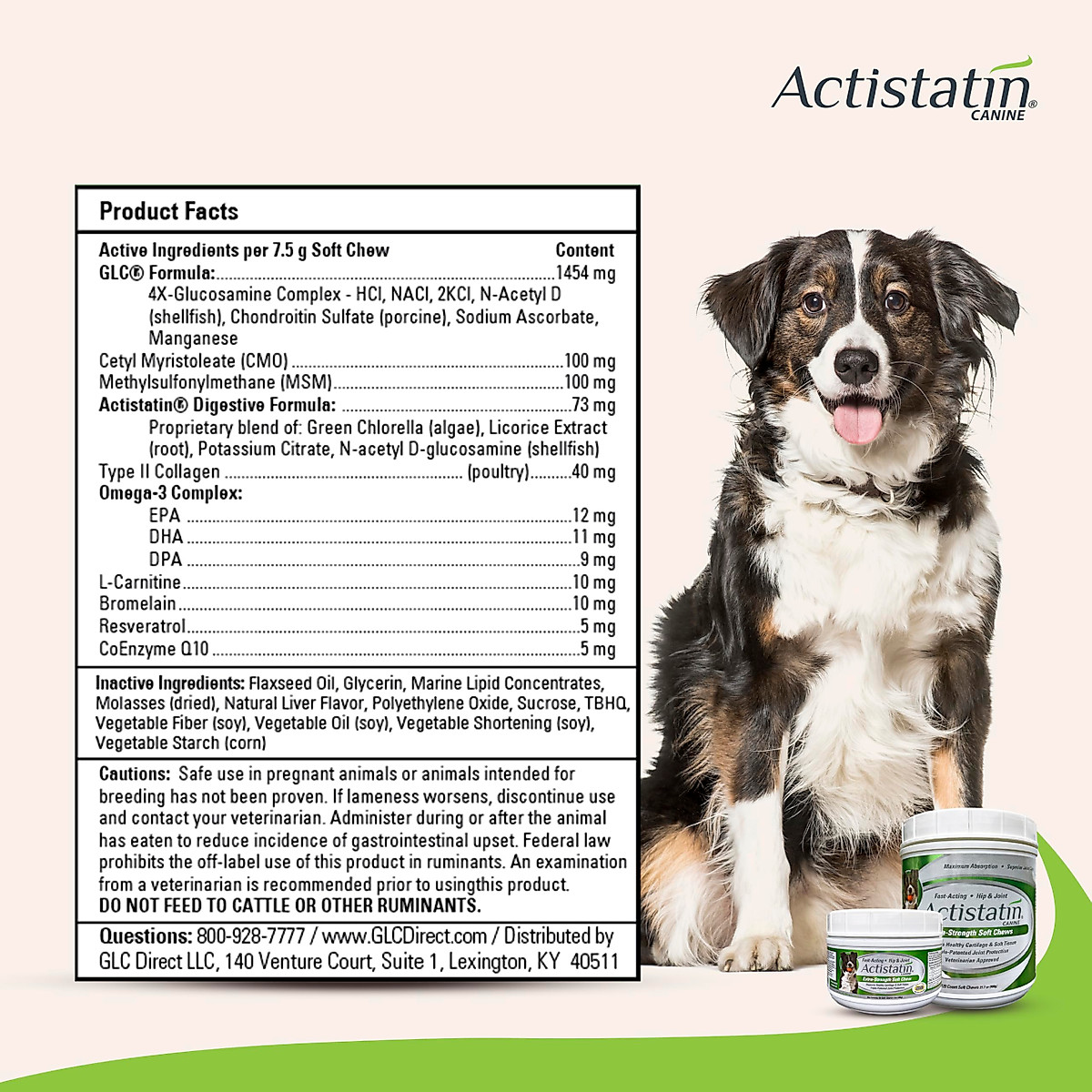Actistatin Canine Large Dog Soft Chews, 120ct – Patented Extra-Strength Joint, Cartilage, Soft Tissue Supplement: Glucosamine, Chondroitin, Manganese, MSM, L-Carnitine – High Absorption, Fast Results