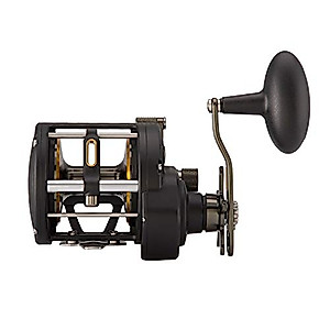 Penn FTHII30LWLH Spinning Rod & Reel Combos, Black Gold